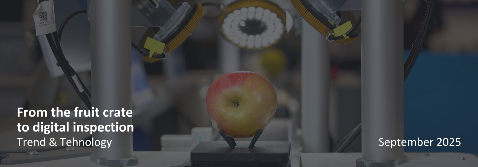 From the fruit crate to digital inspection